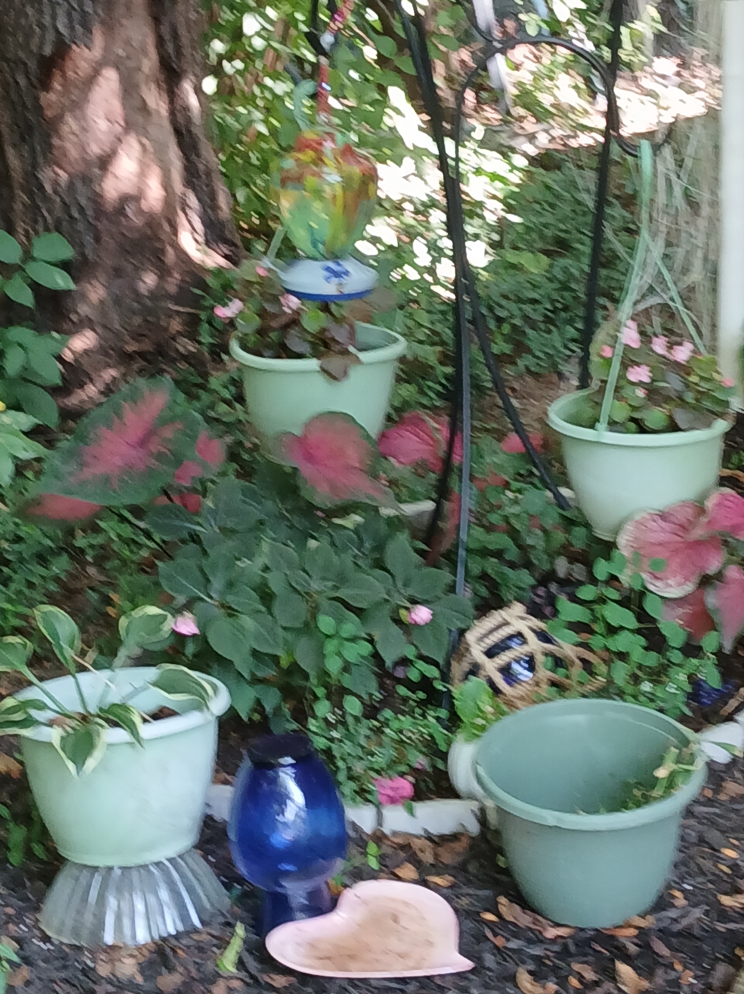 Flowers, Flowers, & Flowers – Growing Up Hilt